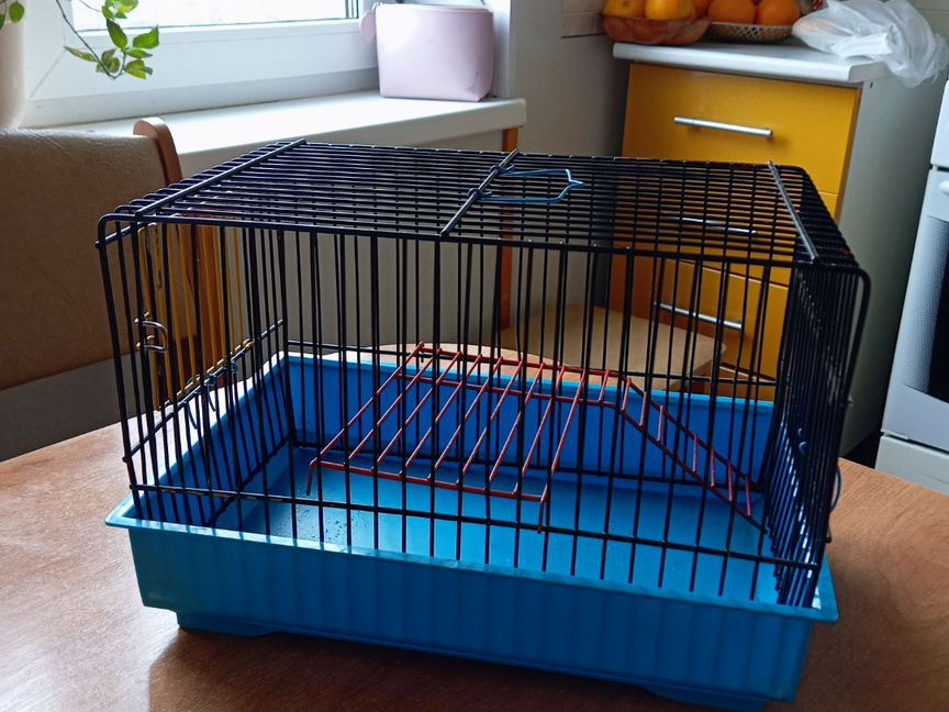 Клетка для грызунов+ аксессуары в подарок