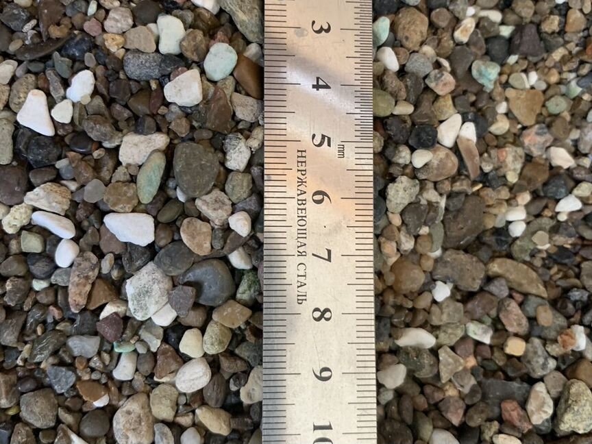 Тернеция и грунт