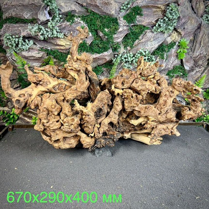 Коралловое дерево/Coral Wood кд692