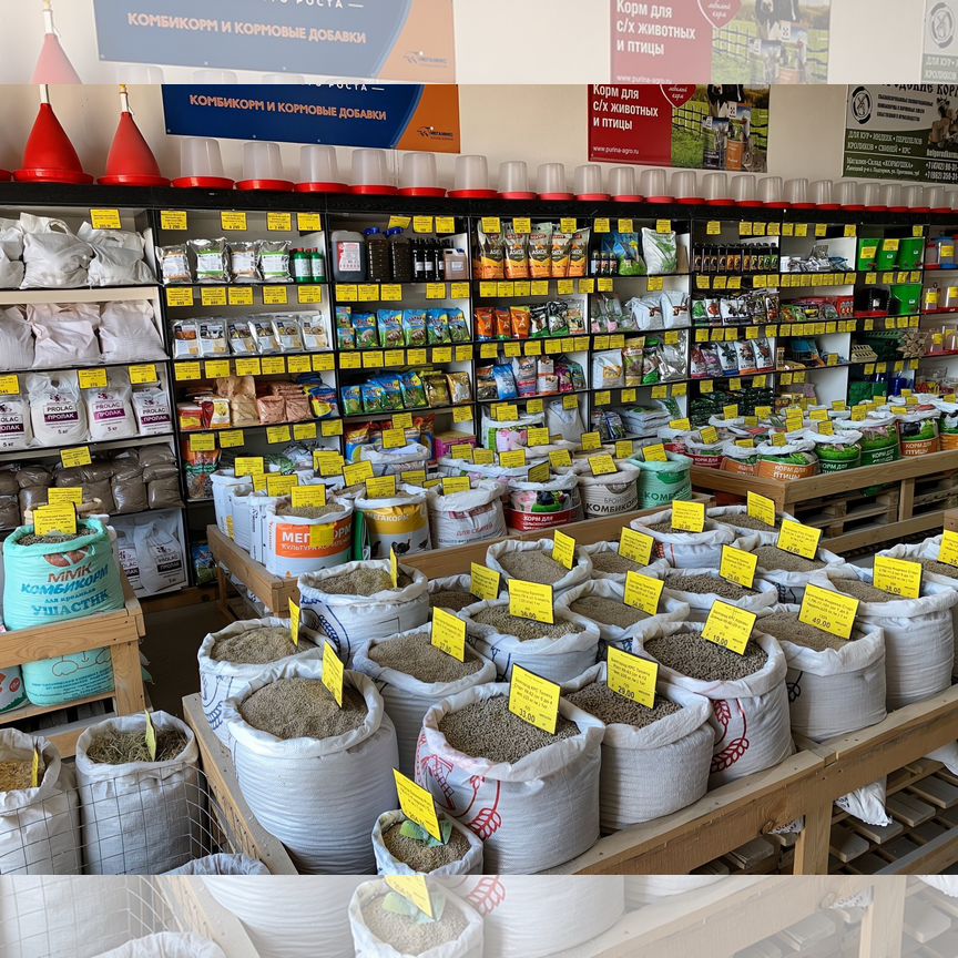 Продажа зерно