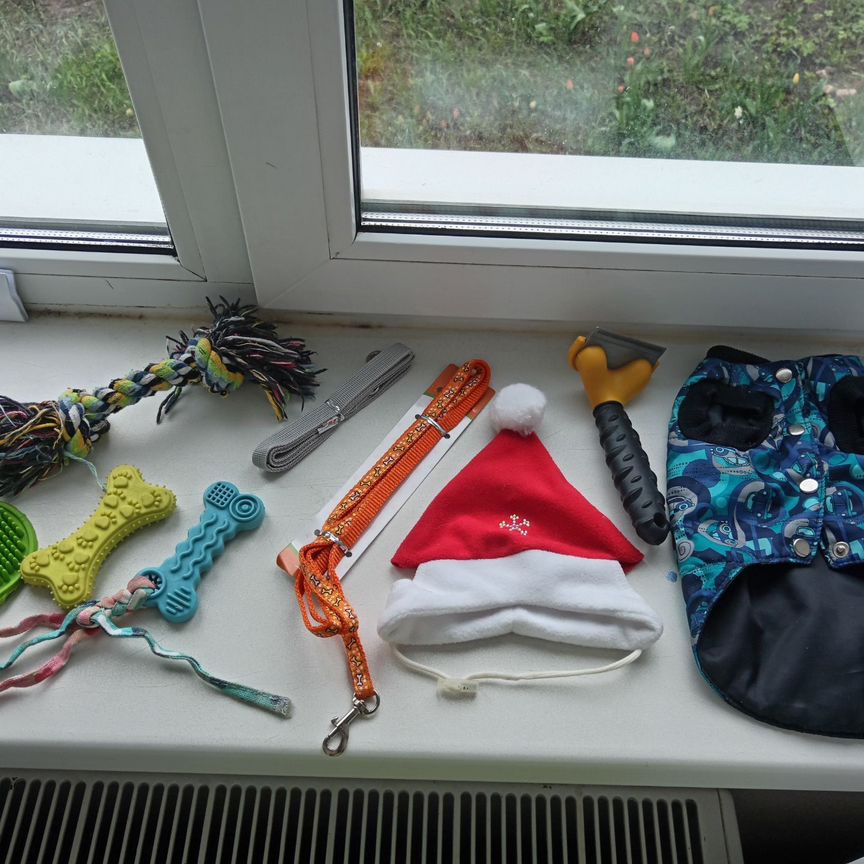 Игрушки, одежда для собачки