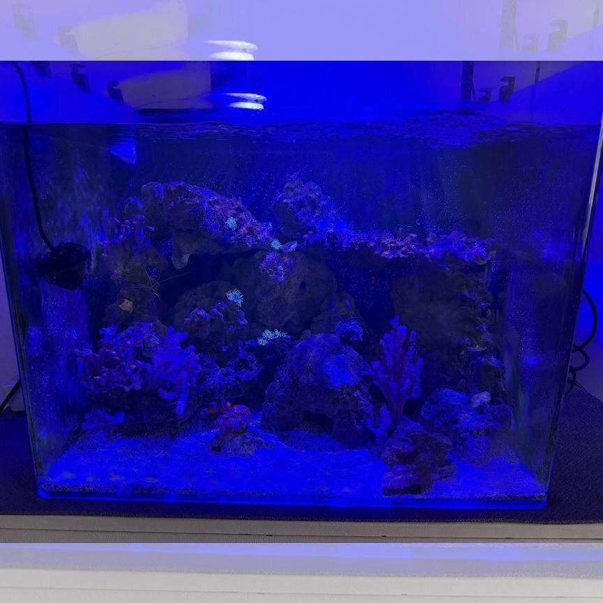 Морской аквариум