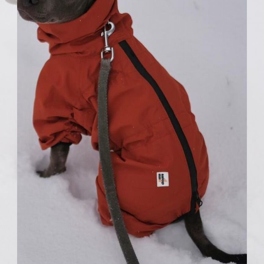 Дождевик комбинезон для собаки Salop dog