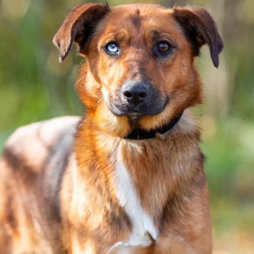 Невероятной красоты девочка Груня