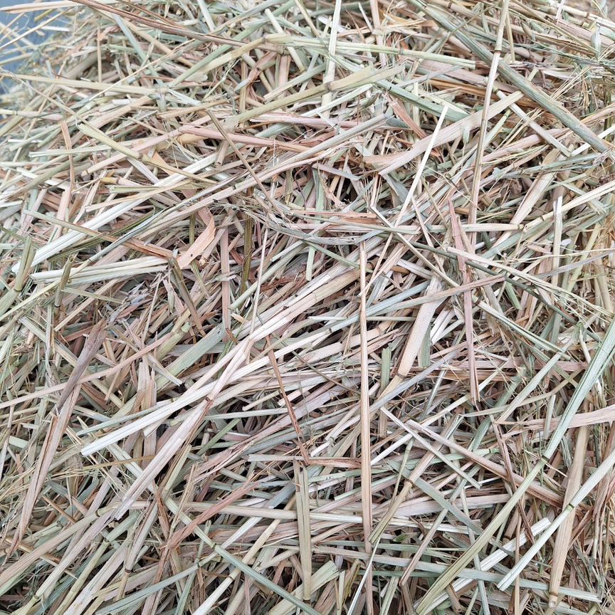 Солома овсяно-просяная в мешках