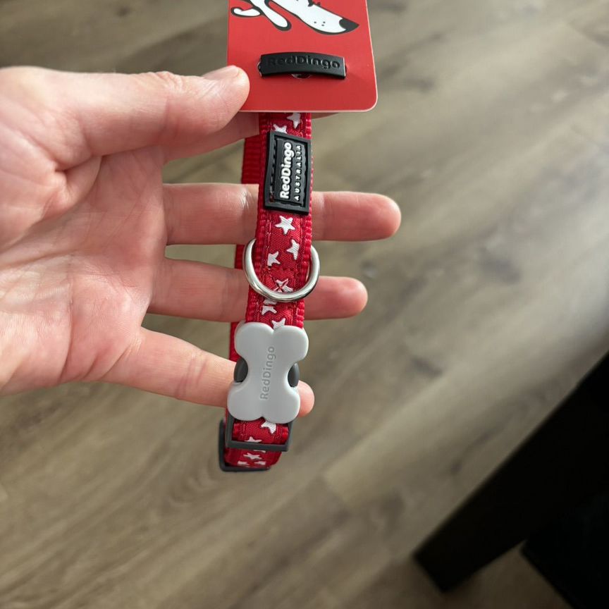 Ошейник Red Dingo