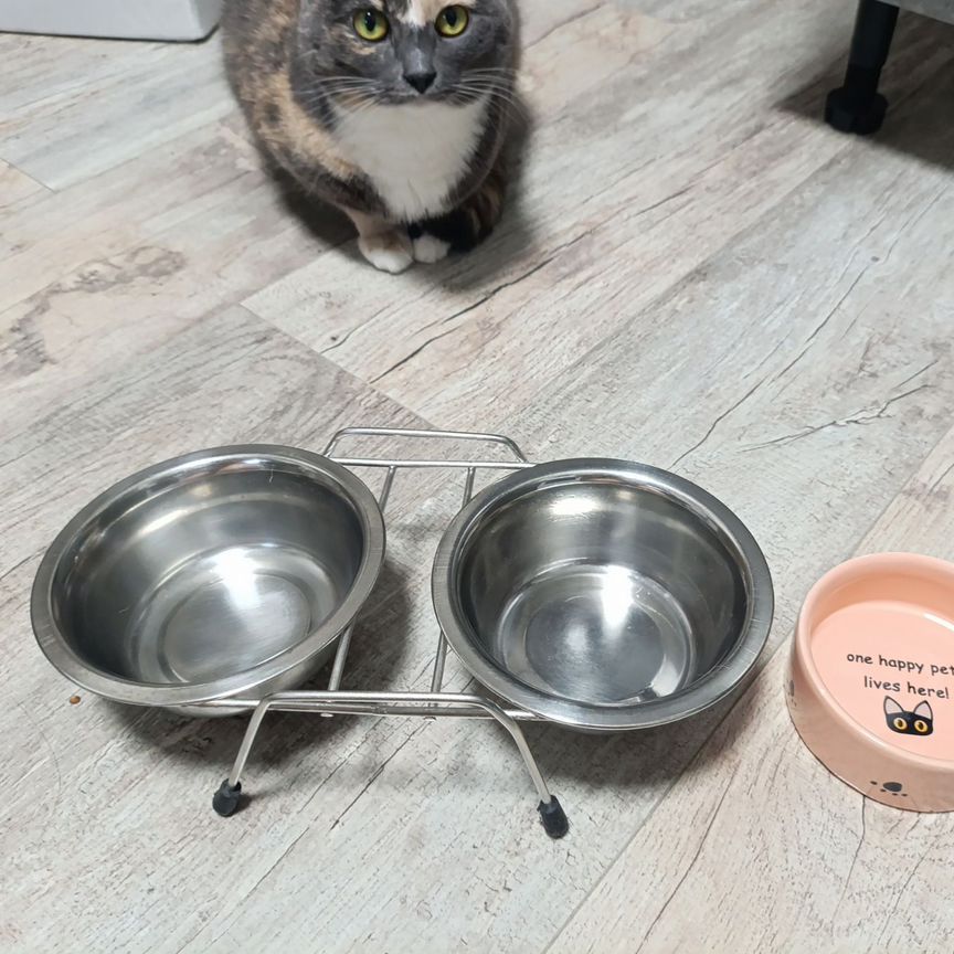 Набор мисок с подставкой для котика