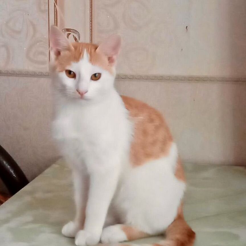 Учится вновь доверять человеку