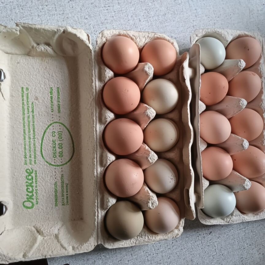 Продаю своë