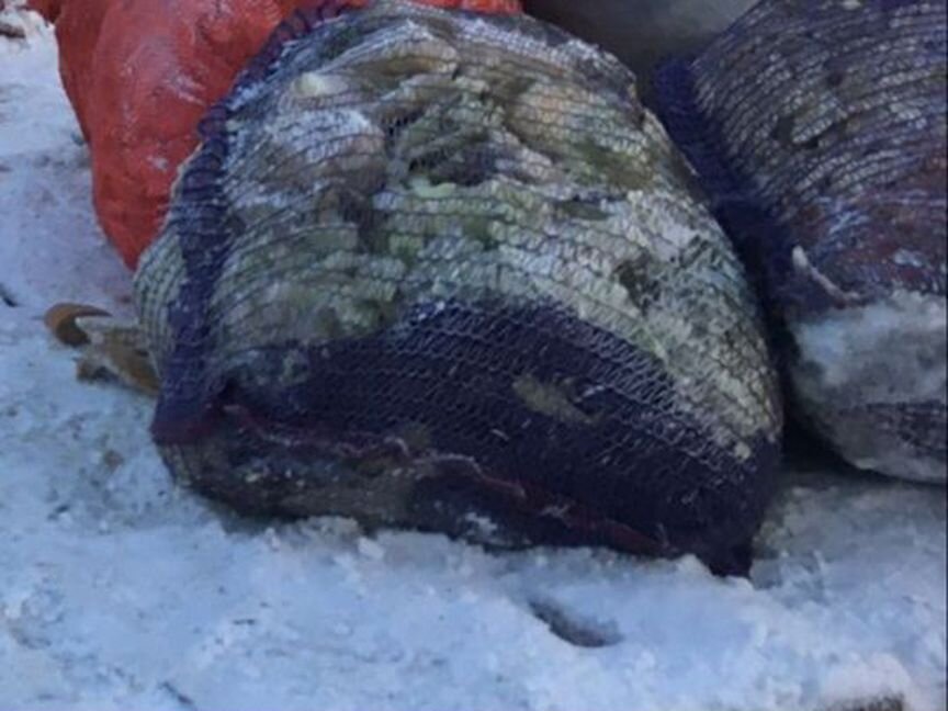 Очистки на корм животным