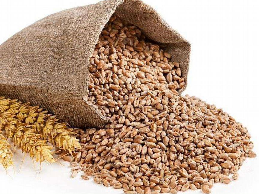 Зерно, Комбикорм