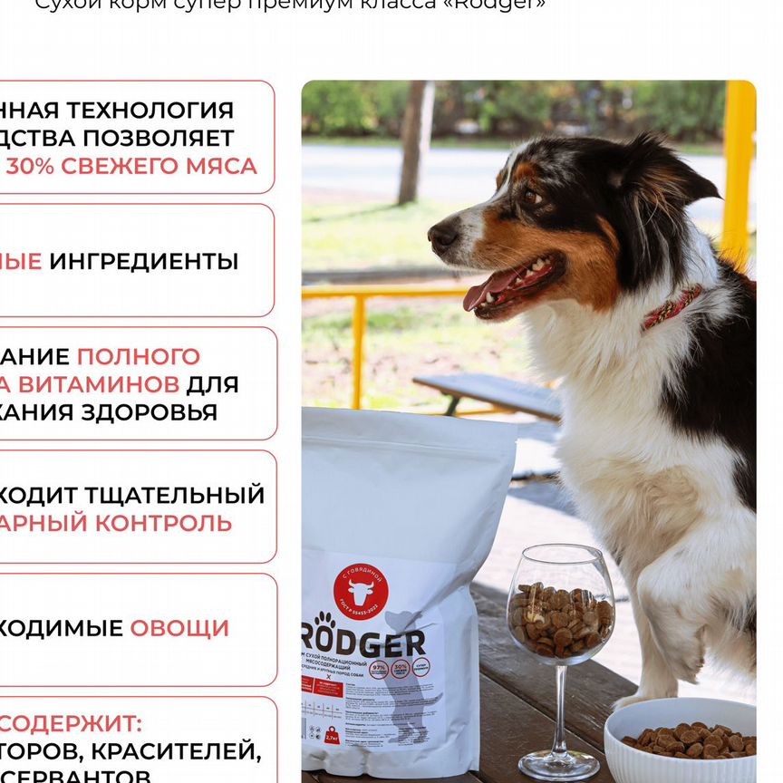 Корм для собак средних и крупных пород с Телятиной