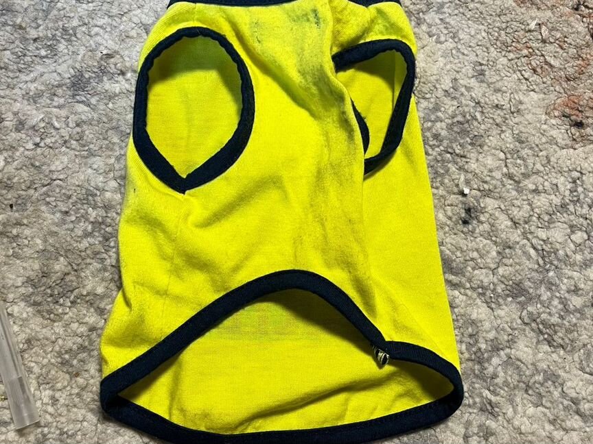 Кофточка для кота