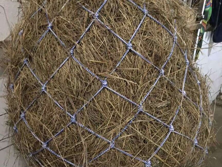 Рептух (медленная кормушка)