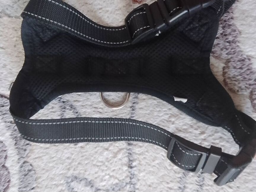 Амуниция для собак