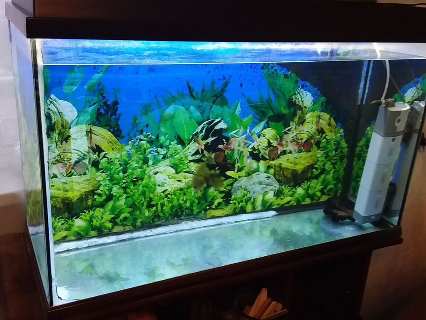 Аквариум с тумбой 450л