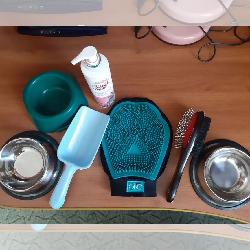 Набор для кошек