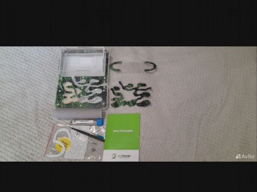 Муравьиная ферма antplanet / формикарий