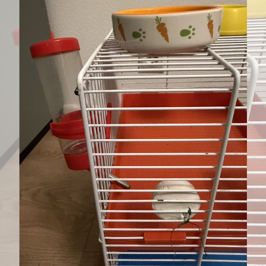 Клетка для грызунов хомяка