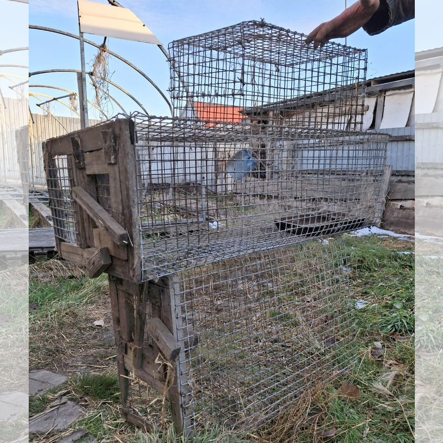 Клетки для кур и кроликов