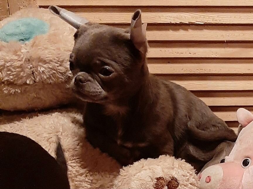 Мальчик Такой мальчик