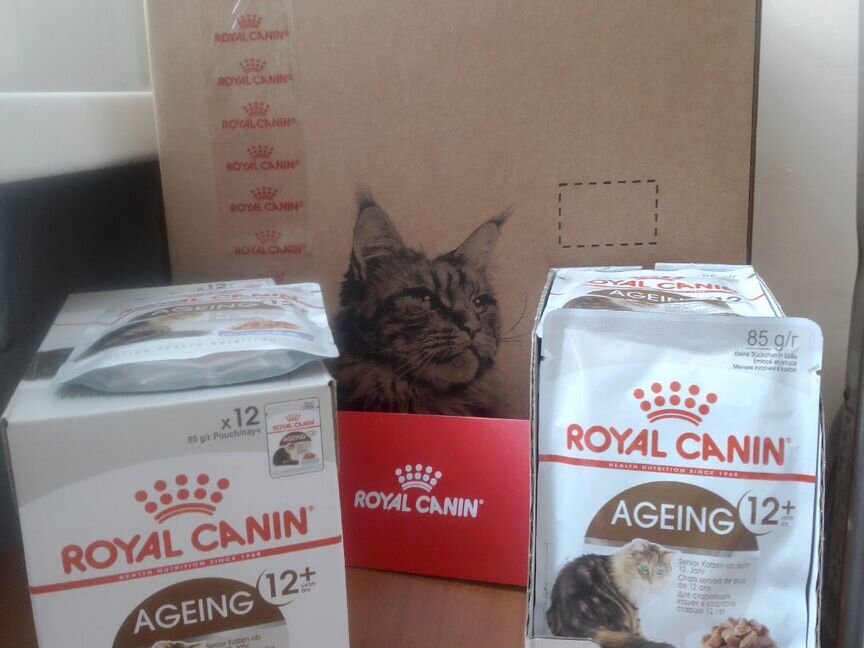 Royal canin Ageing 12+ влажный корм