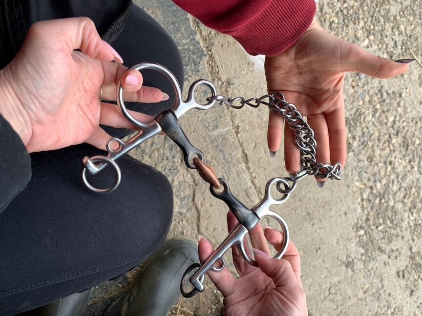 Пелям восьмерка 11,5 железо для лошади