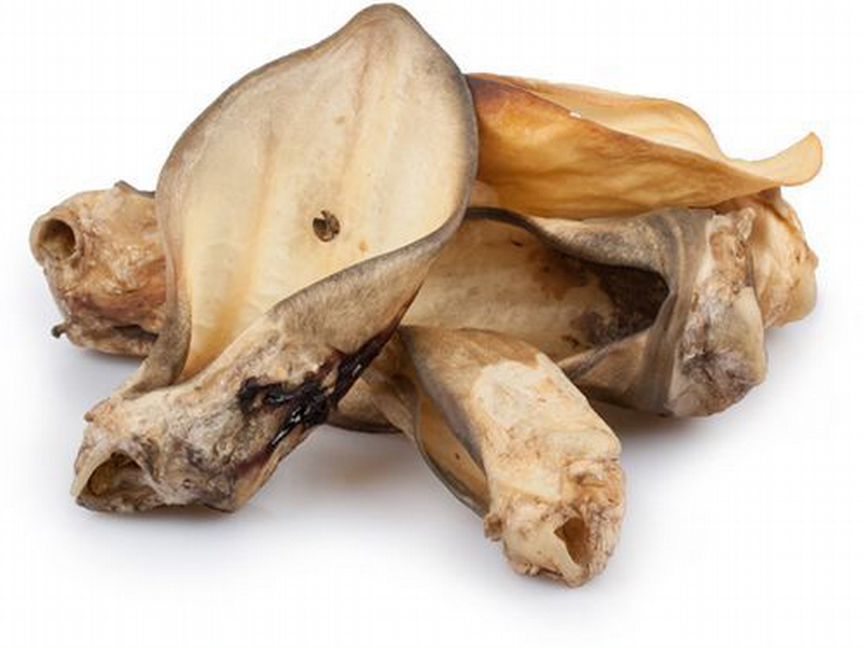 Лакомства для собак