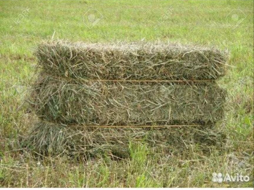 Сено в брикетах