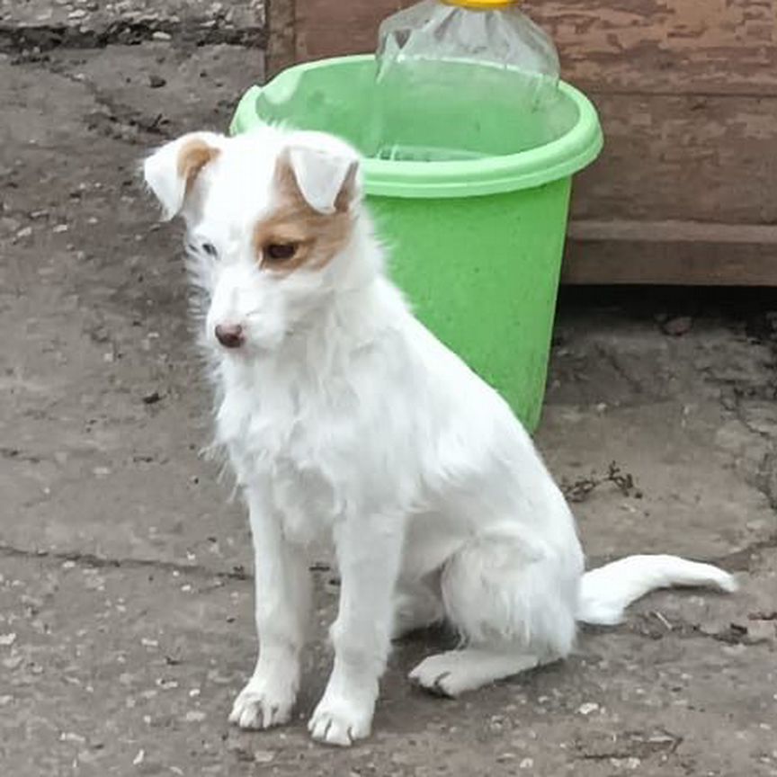 Красотка ждет своих родителей