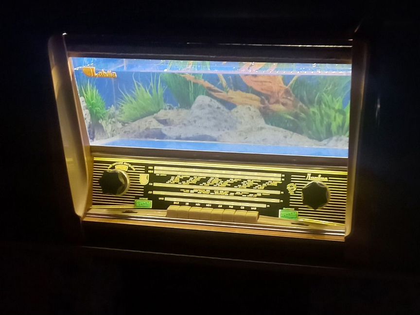 Аквариум. Террариум. Редизайн