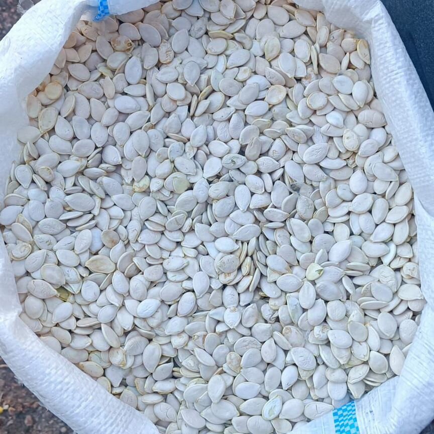 Тыквенные семечки местные