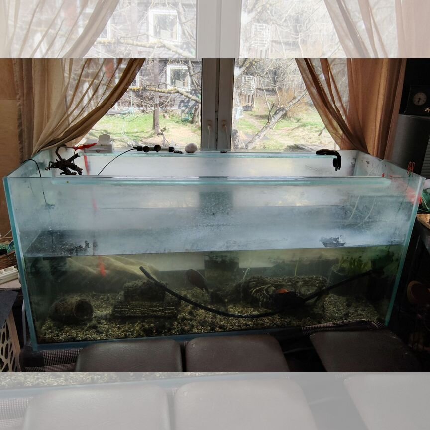 Аквариум банка