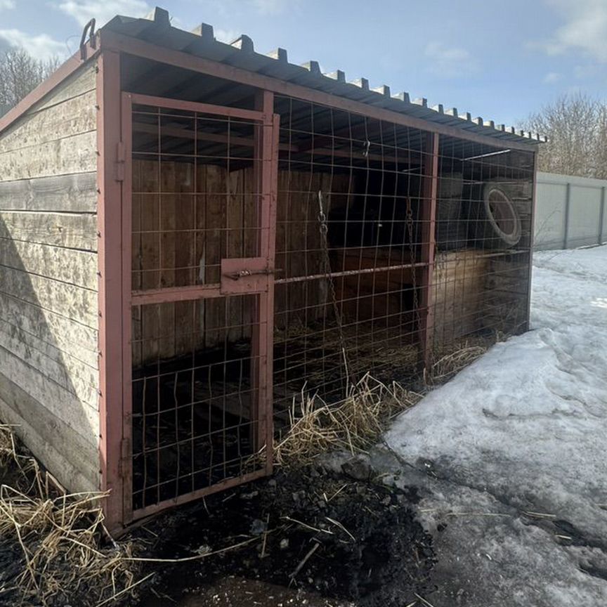 Вольер для собак уличный