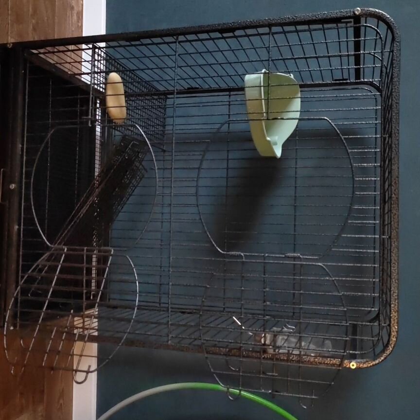 Клетка для грызунов большая бу