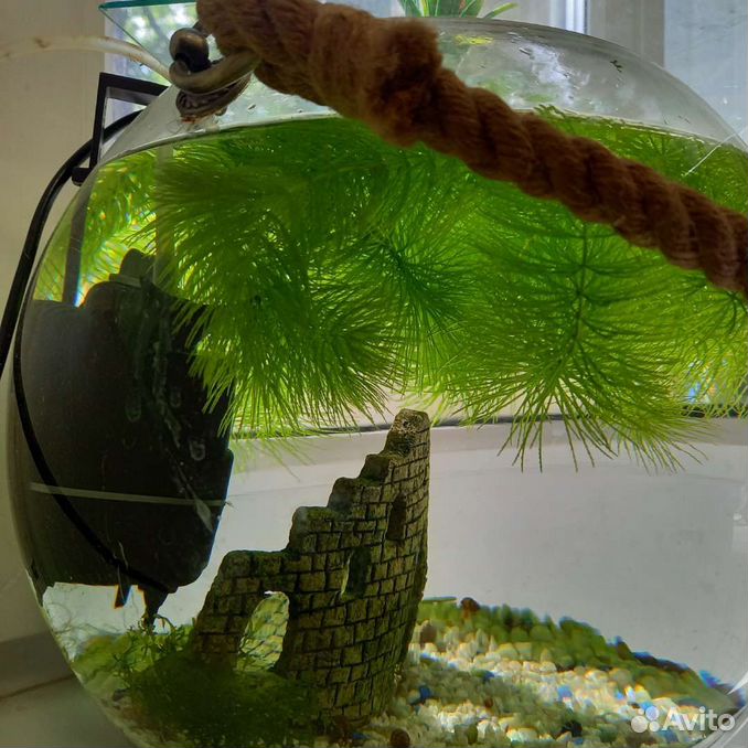 Аквариумы круглые, бокал, цилиндр