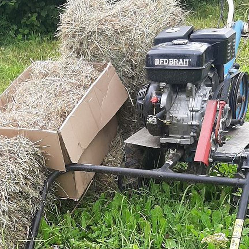 Сено в коробке, 1сорт