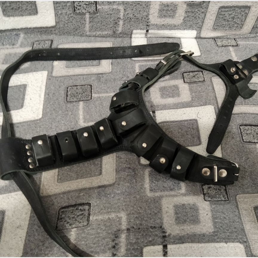 Шлейка для собаки кожа