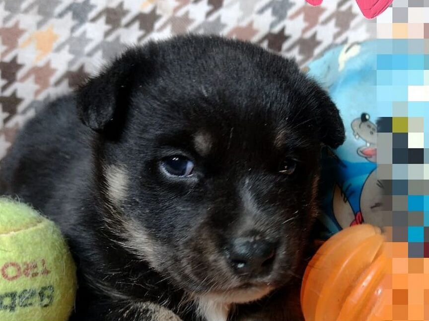 Активный мальчик малыш хорошему человеку