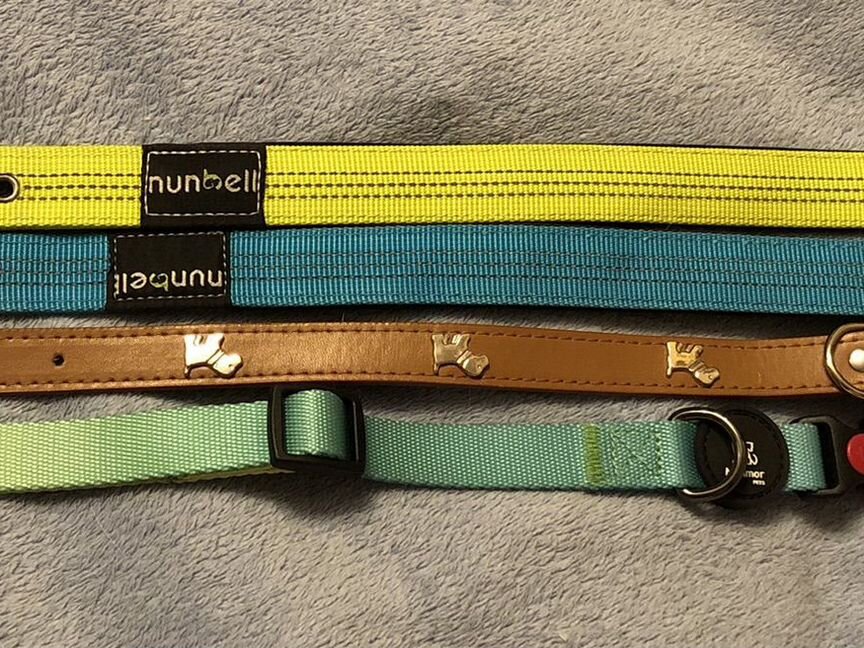 Амуниция для собак (ошейники)