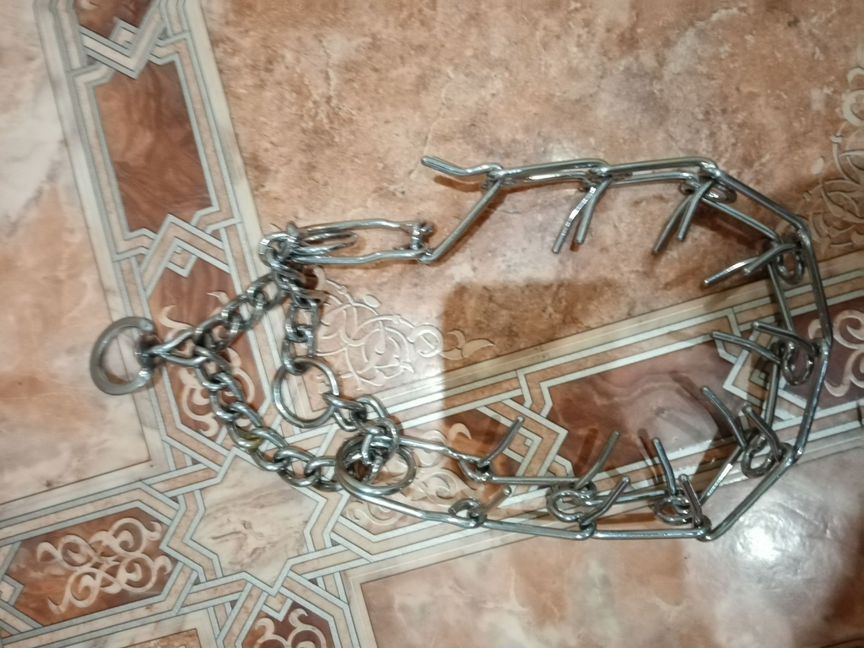Строгий ошейник для собак