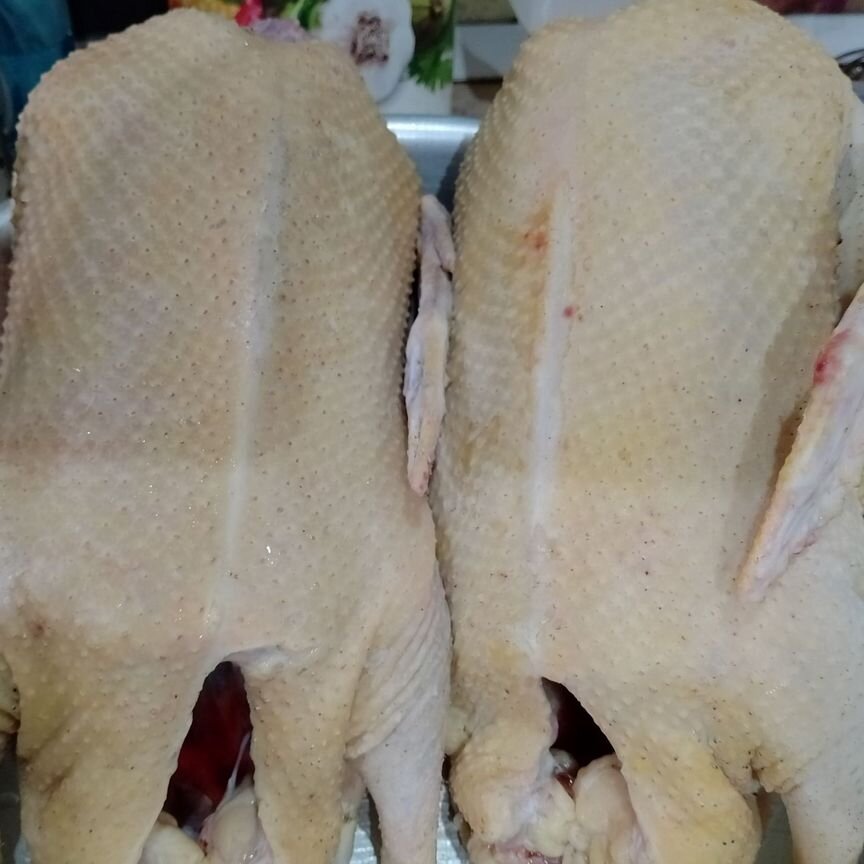 Домашние уточки шептуны