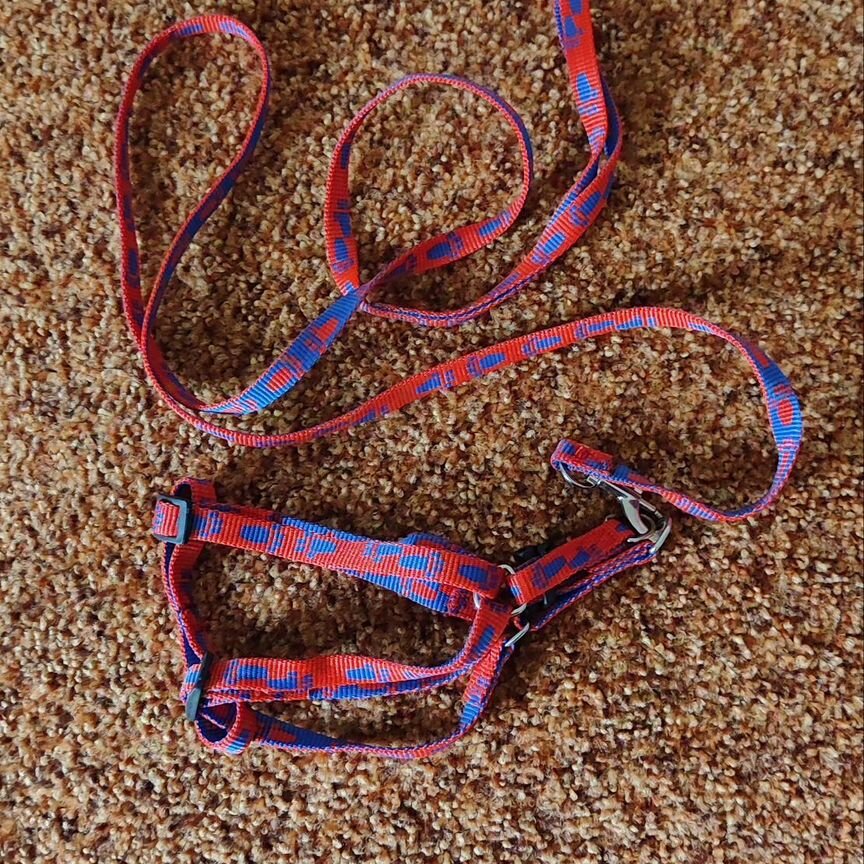 Отдам шлейку