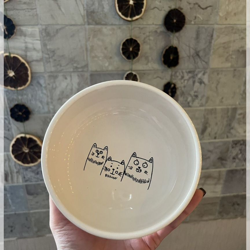 Вещи для кота