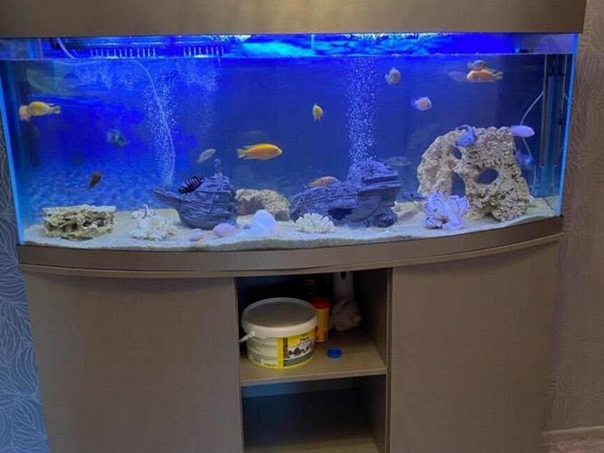 Аквариум с тумбой 500 литров