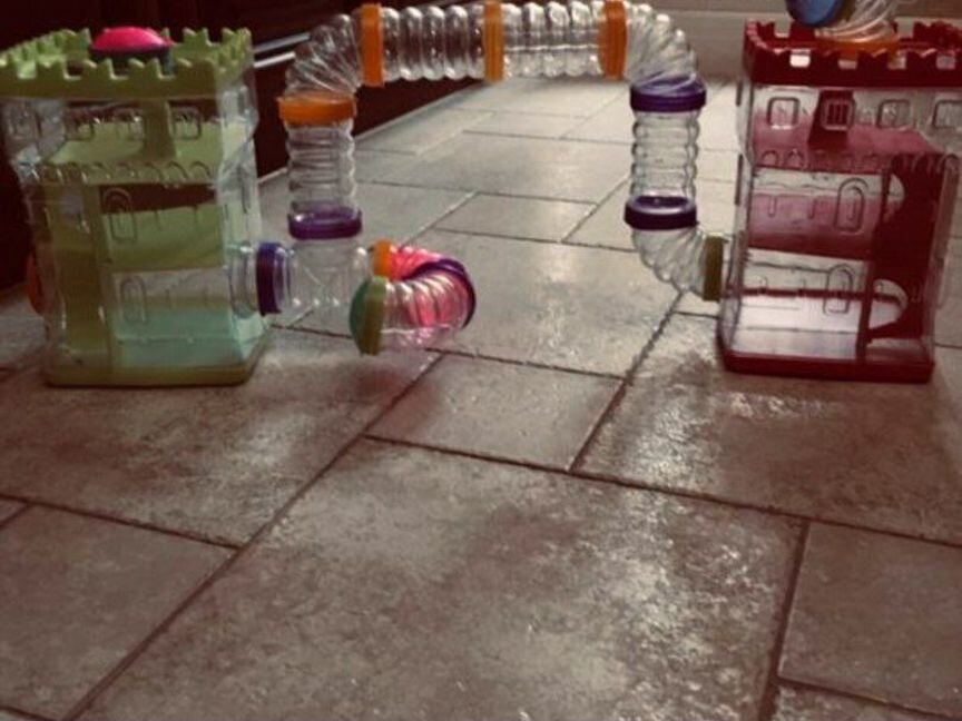 Игрушка для хомяка