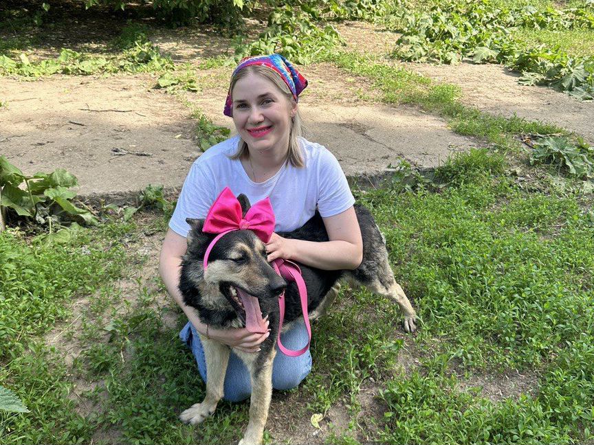 Милейшая Рози в поисках дома