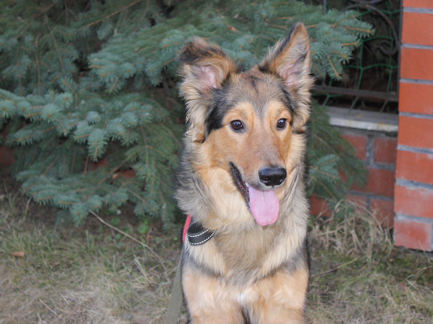 Позитивчик Умка 8 мес