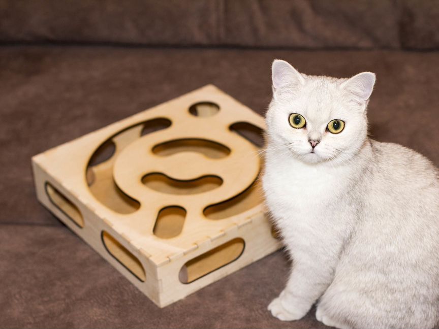 Игрушка для кошки из дерева