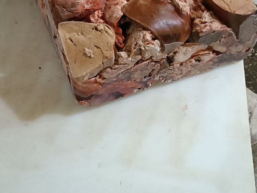 Обрезь для собак